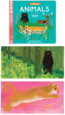 Takelma: Animals – Sugar